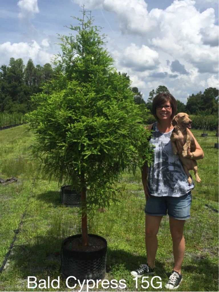 IMG_6883 « Butler Tree Farm